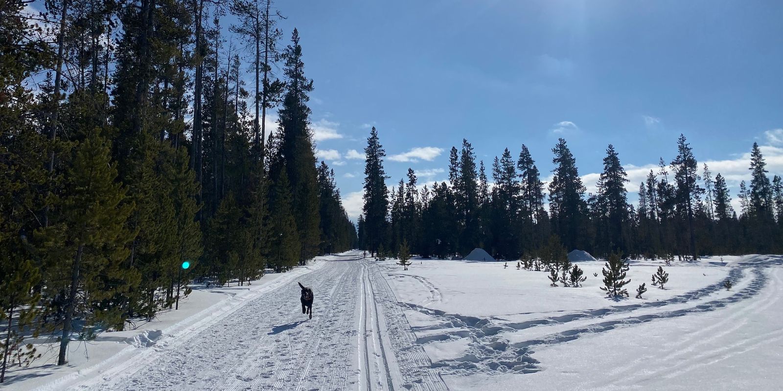 Nordic Pulse | Boundary Trails Grooming Report