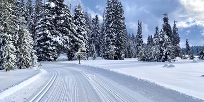 Nordic Pulse | Bear Basin Nordic Center Grooming Report