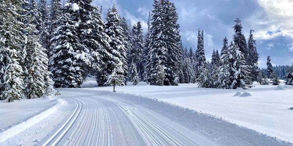 Nordic Pulse | Bear Basin Nordic Center Grooming Report