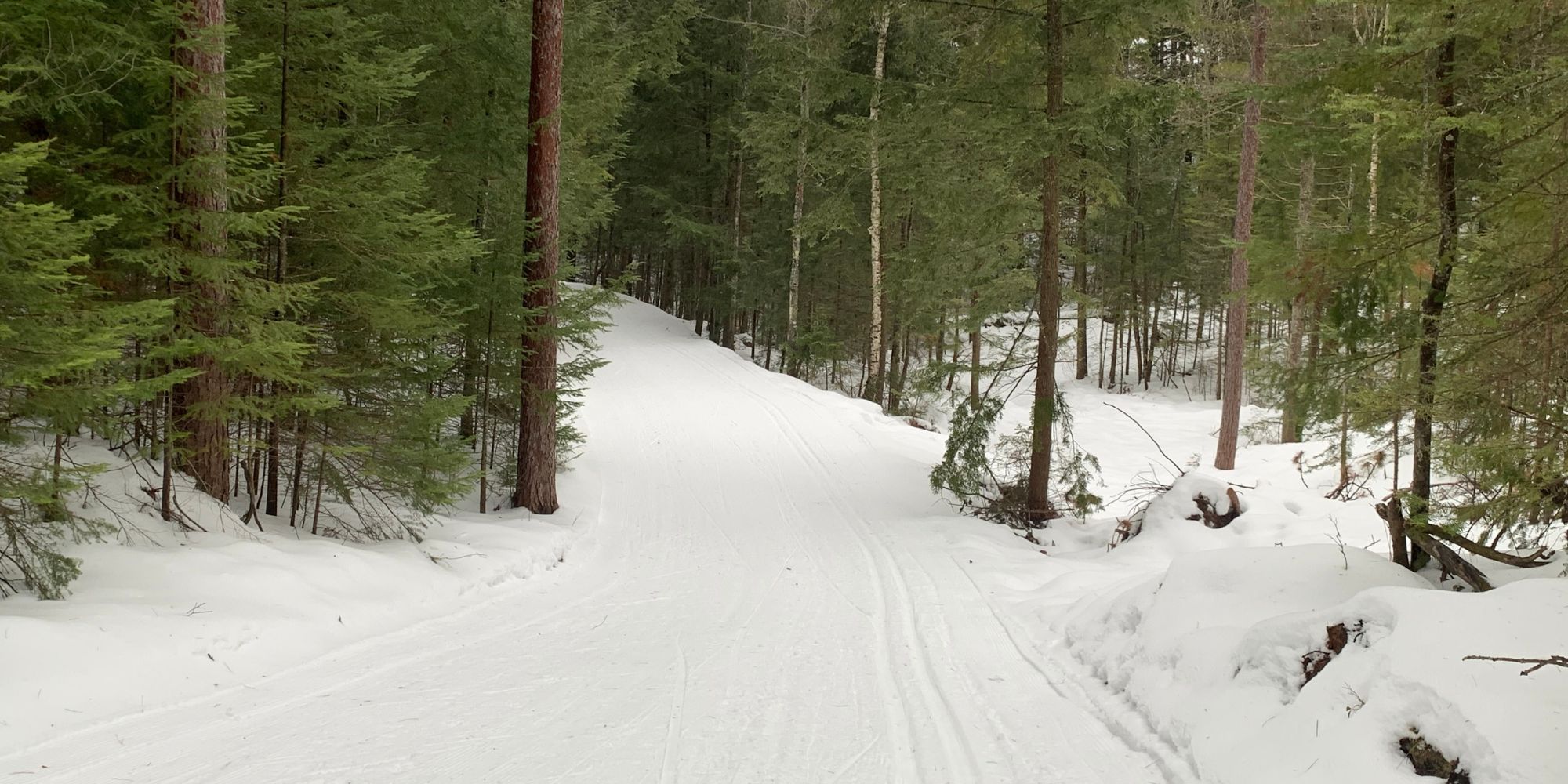 Nordic Pulse | Saux Head Ski Trails Grooming Report