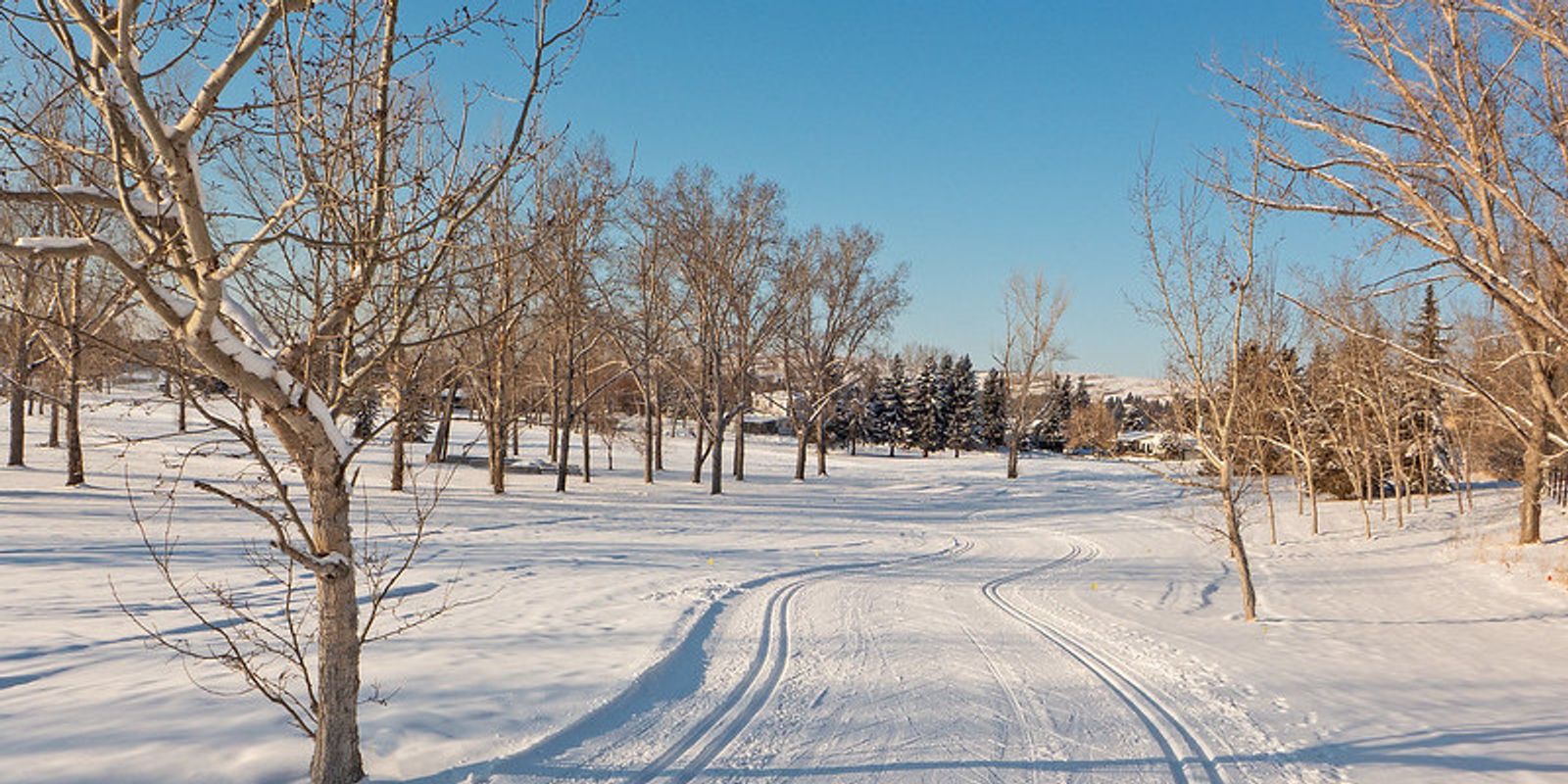 Nordic Pulse | Calgary Confederation Park Golf Course Grooming Report