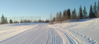 Nordic Pulse | Calgary Shaganappi Point Golf Course Grooming Report
