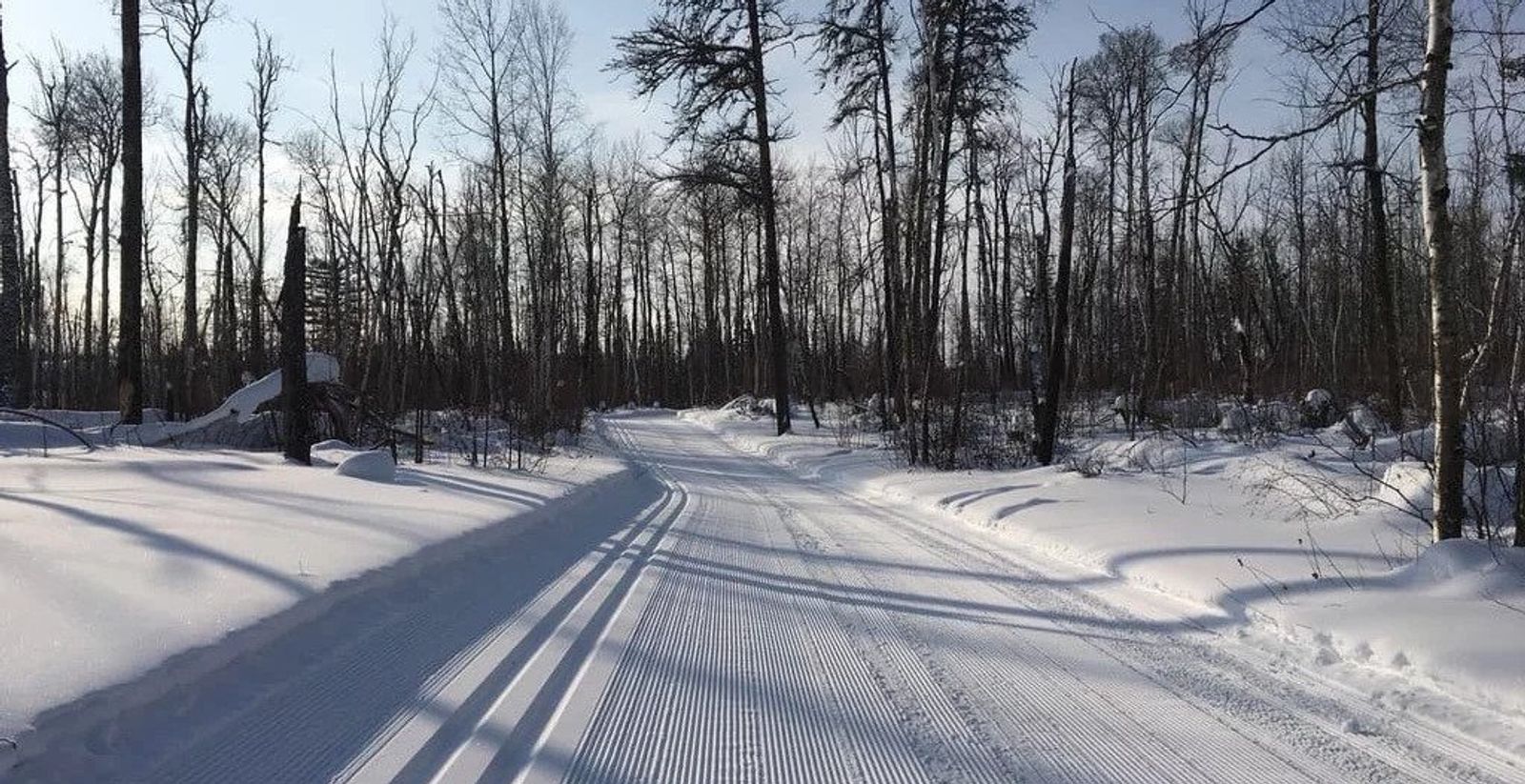 Nordic Pulse | La Ronge Nordic Saskaloppet Grooming Report