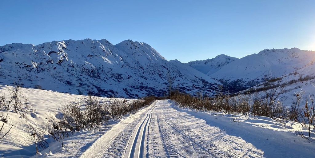 Nordic Pulse | Alaska Grooming Reports